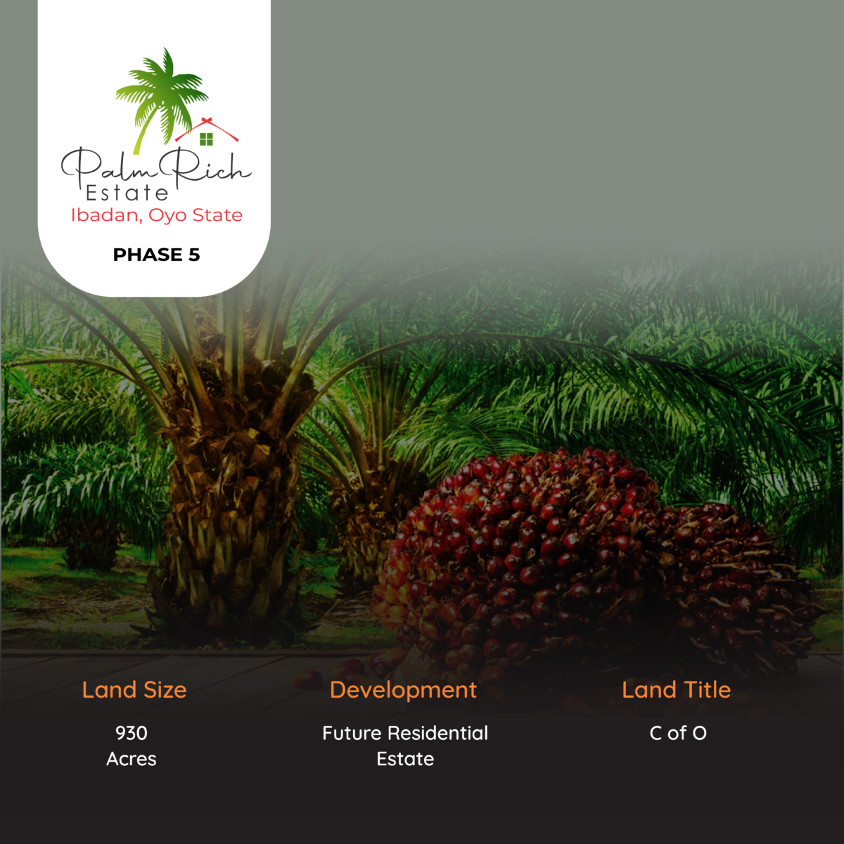 Real Estate – Assetrise